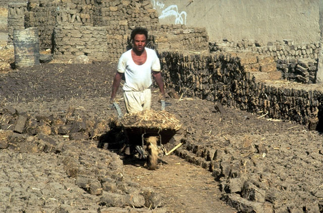 The Mud Brick Manual